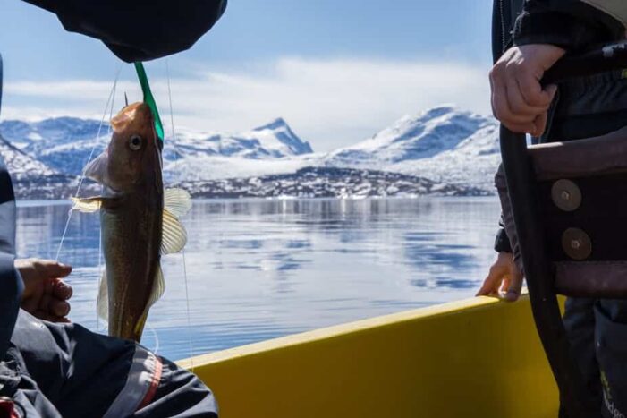 Deep Sea Fishing | Nuuk | Guide to Greenland