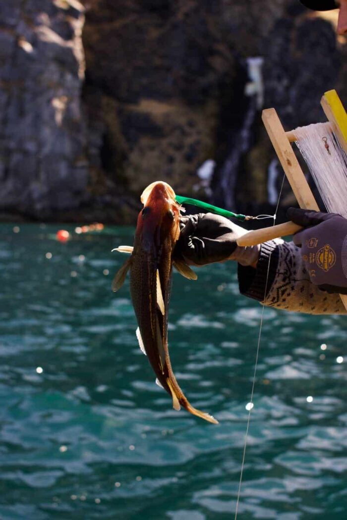 Deep Sea Fishing | Nuuk | Guide to Greenland