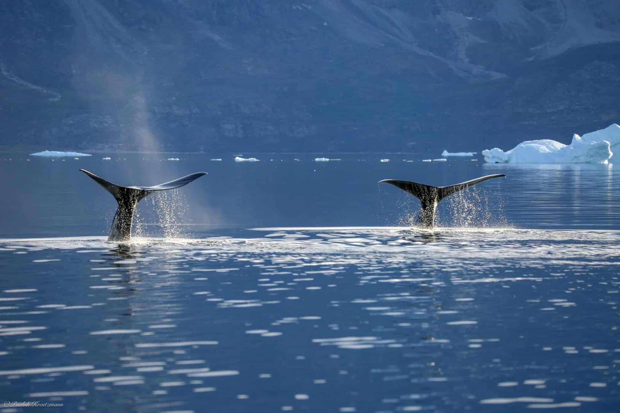 Storytelling up North - The Inuit Legend of Sedna | Guide to Greenland