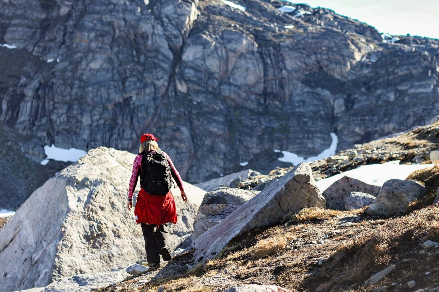 Niviarsiaq • The national flower of Greenland | Guide to Greenland