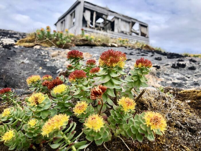 Kangeq | Guide to Greenland