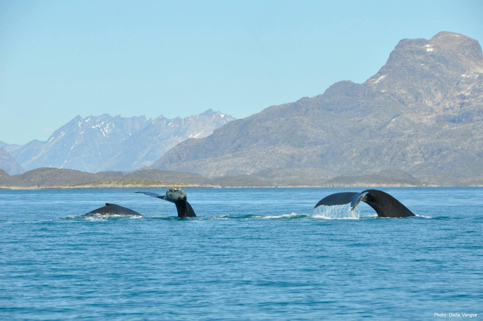 Greenland's University – Ilisimatusarfik | Guide to Greenland