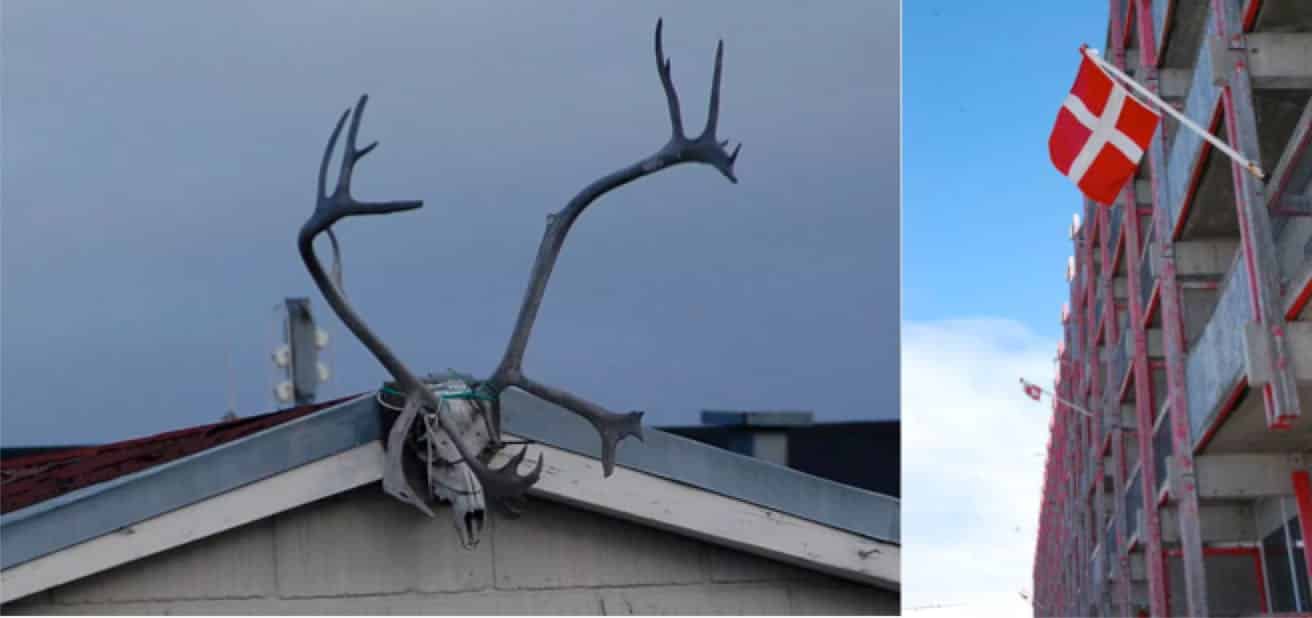 Bor I i en iglo? Rejseblog fra Grønland | Guide to Greenland