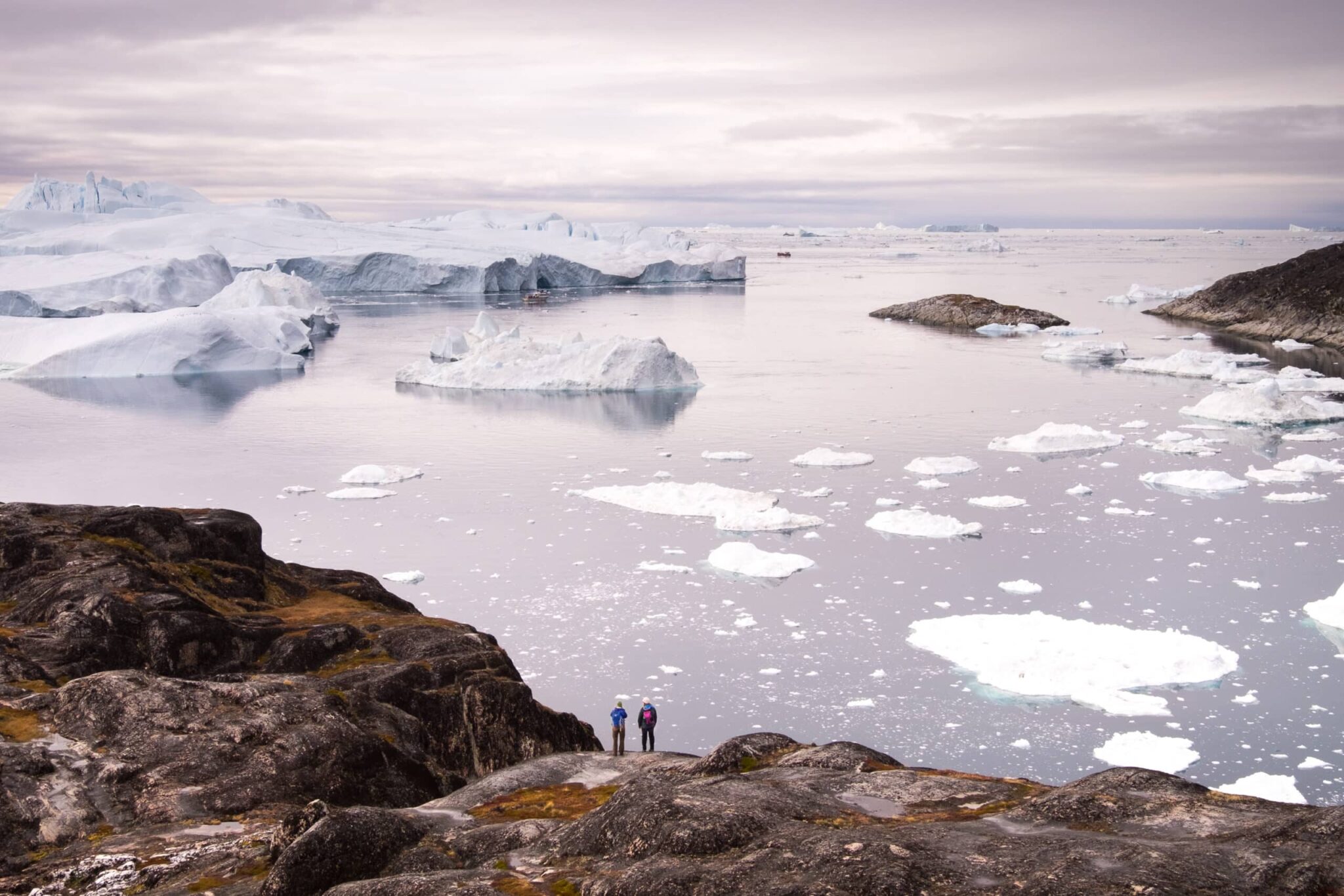 How to make the traditional Suaasat soup | Guide to Greenland