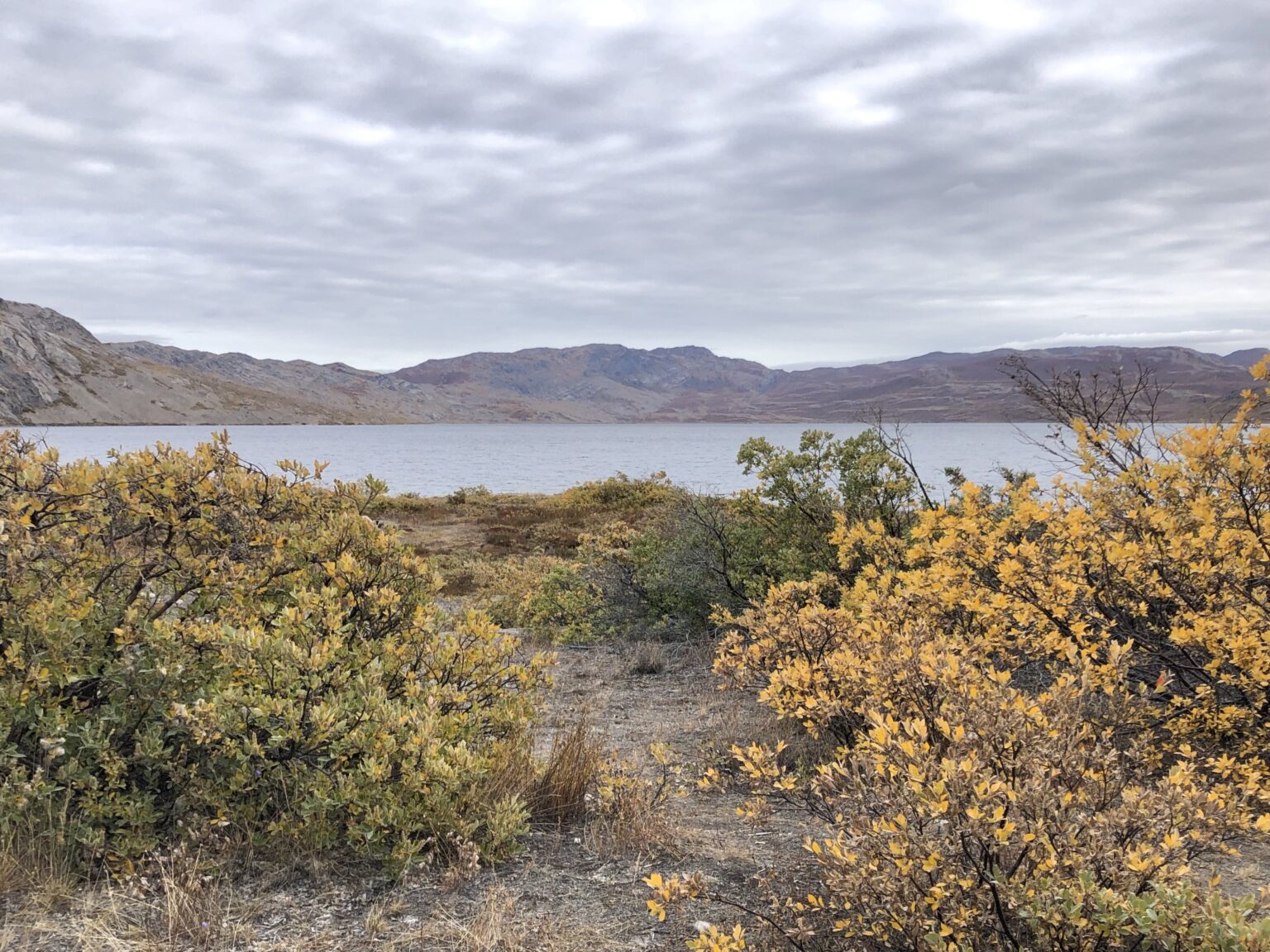 Kangerlussuaq and Roklubben Restaurant | Guide to Greenland
