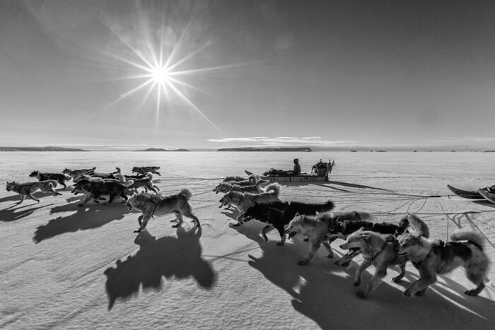 One week as a greenlandic hunter | Guide to Greenland