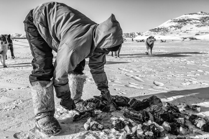 One week as a greenlandic hunter | Guide to Greenland