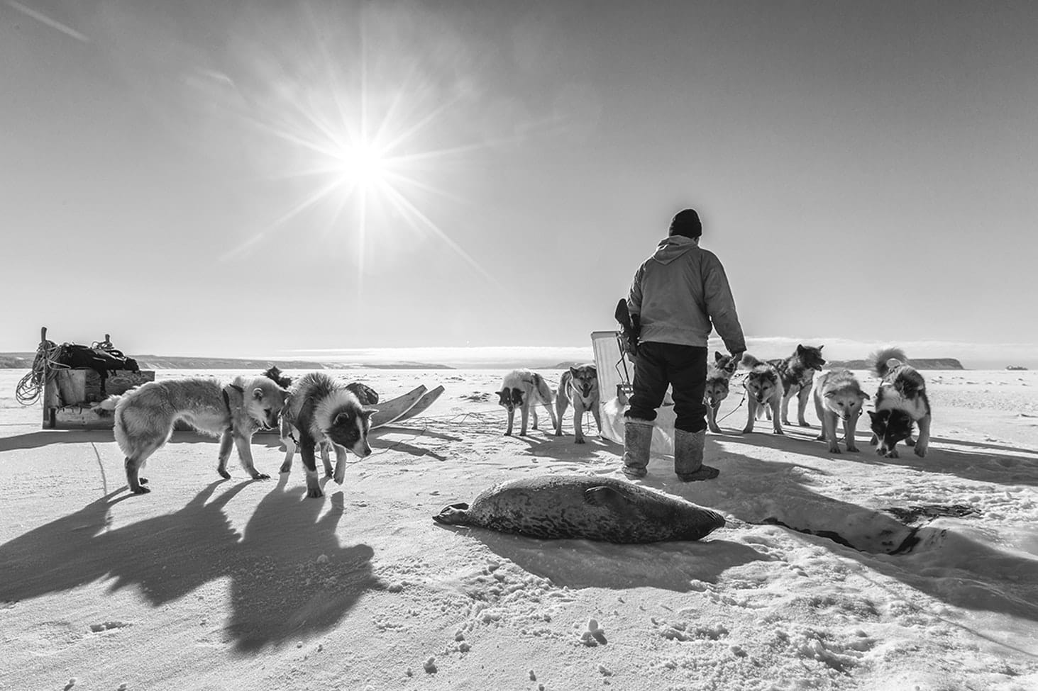 One week as a greenlandic hunter | Guide to Greenland