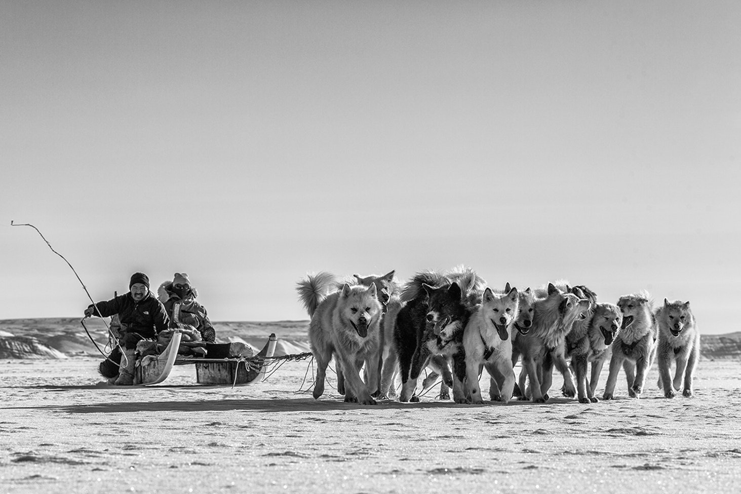 One week as a greenlandic hunter | Guide to Greenland