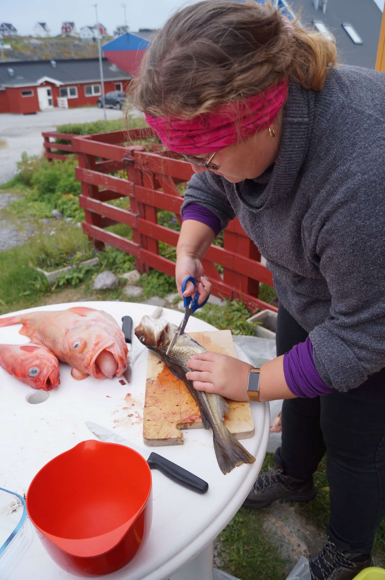 Two Danes and the Seven Fish | Guide to Greenland