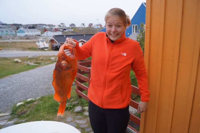 Two Danes and the Seven Fish | Guide to Greenland