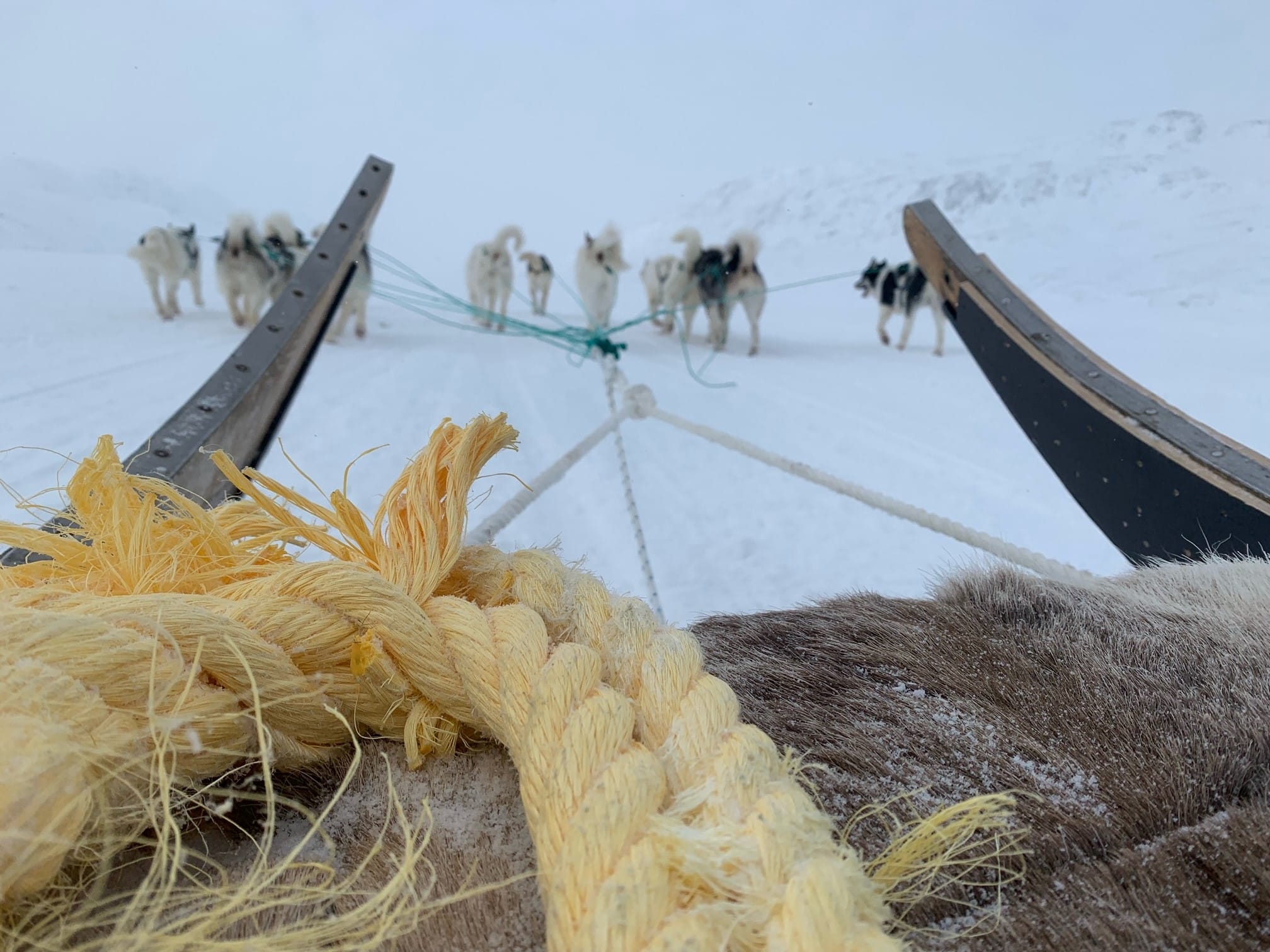 Cross-Country Skiing the Arctic Circle Trail | Guide to Greenland