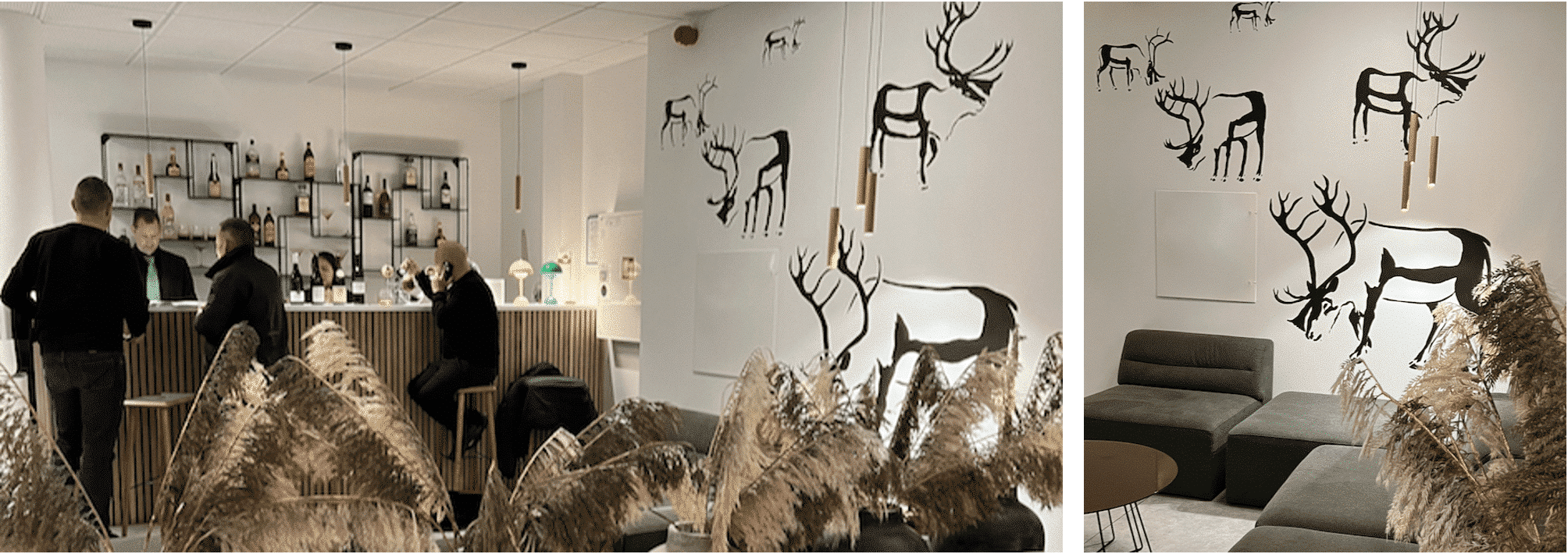 Good food at Restaurant Nordlys in Nuuk | Guide to Greenland