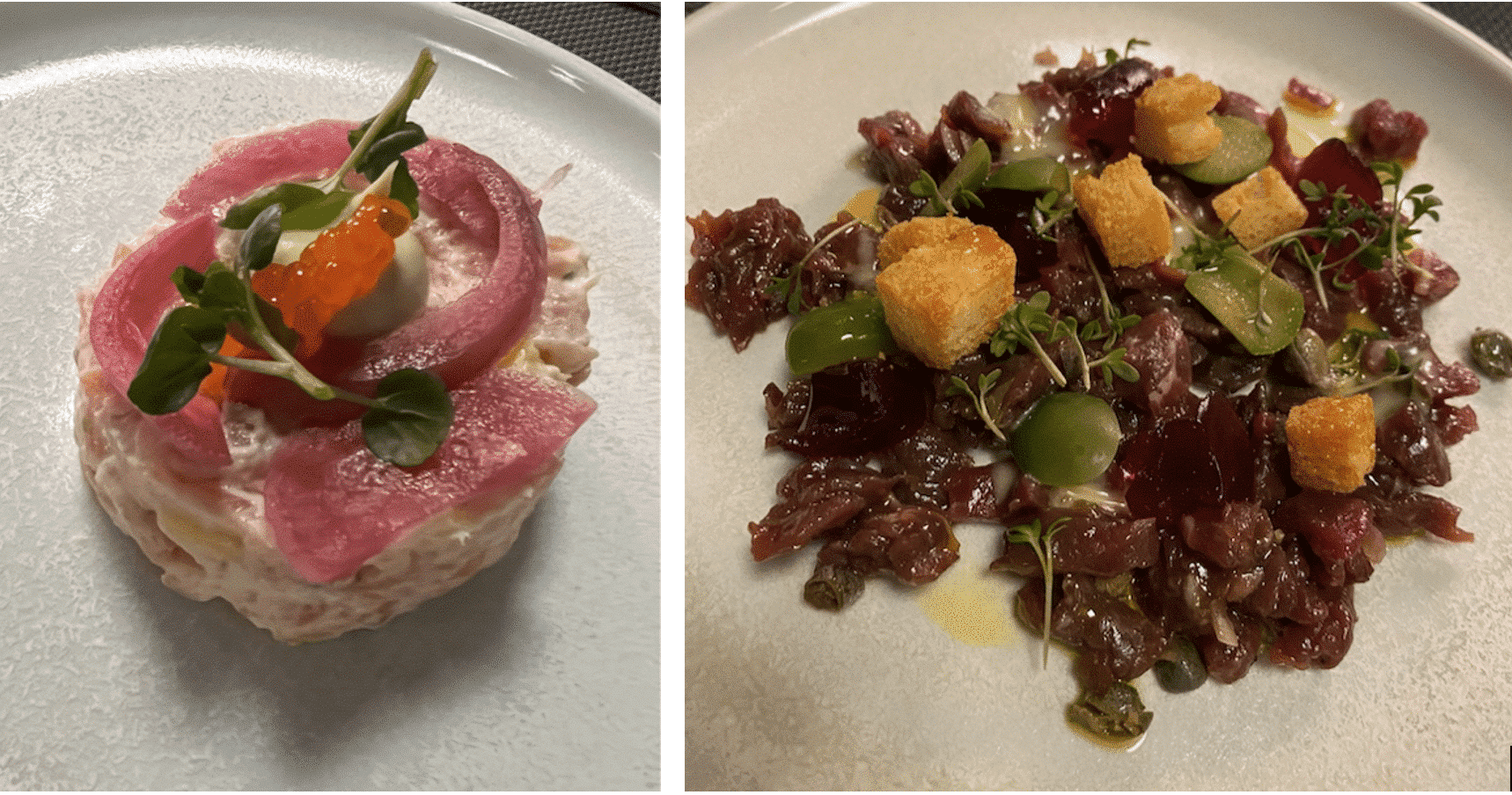 Good food at Restaurant Nordlys in Nuuk | Guide to Greenland