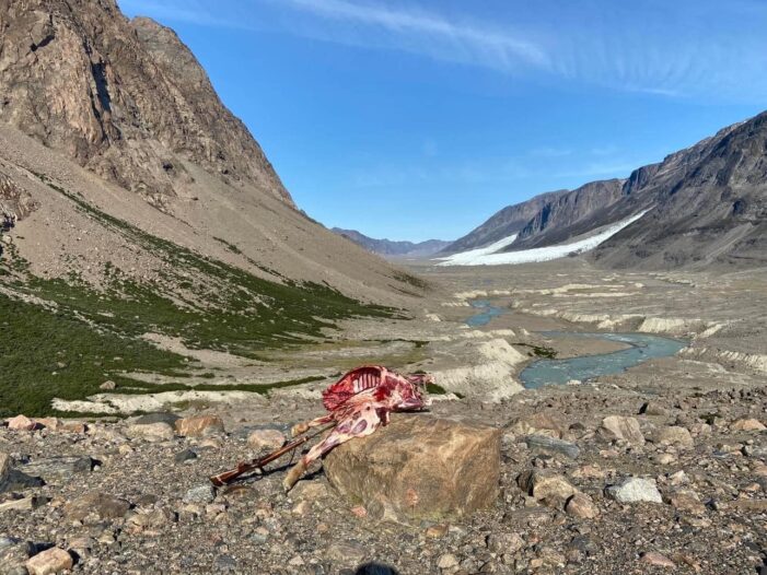 Kangaamiut • The small charming settlement | Guide to Greenland
