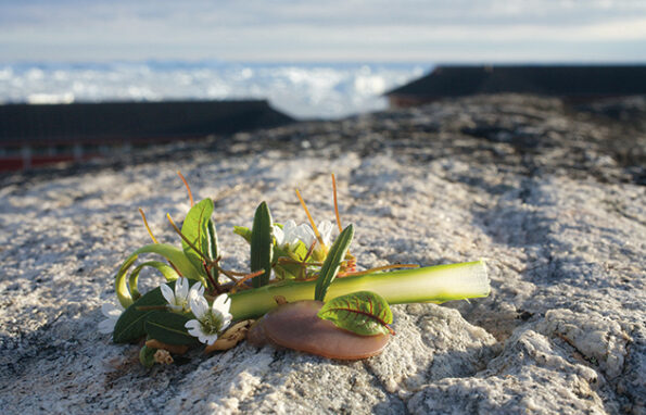 How to make the traditional Suaasat soup | Guide to Greenland