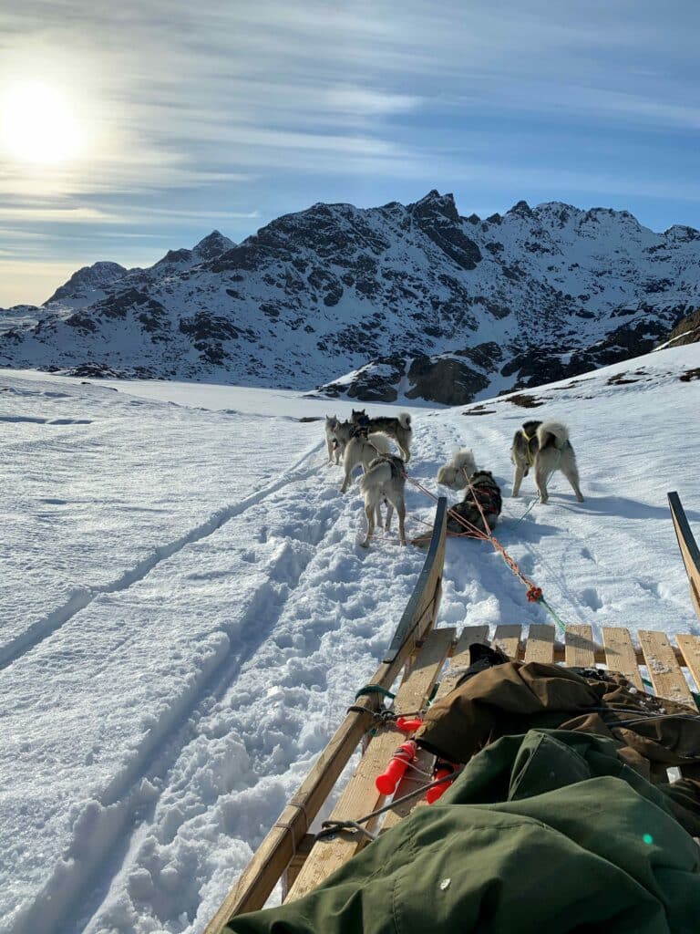 The Big Five - dog sledding | Guide to Greenland